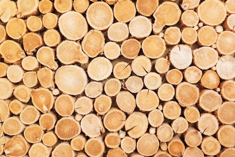 Wooden log texture stock image. Image of hardwood, forest - 112741521