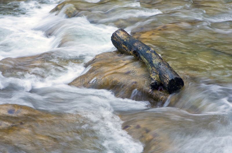 Wooden log in water stock image. Image of stay, fall - 12937959