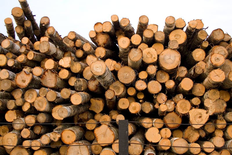 Wooden logs stock image. Image of logs, circles, wooden - 11392465