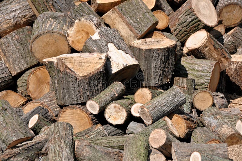 Wooden logs stock image. Image of logs, rough, country - 6030447