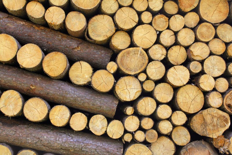 Wooden logs stock photo. Image of pile, detail, chunk - 12915204