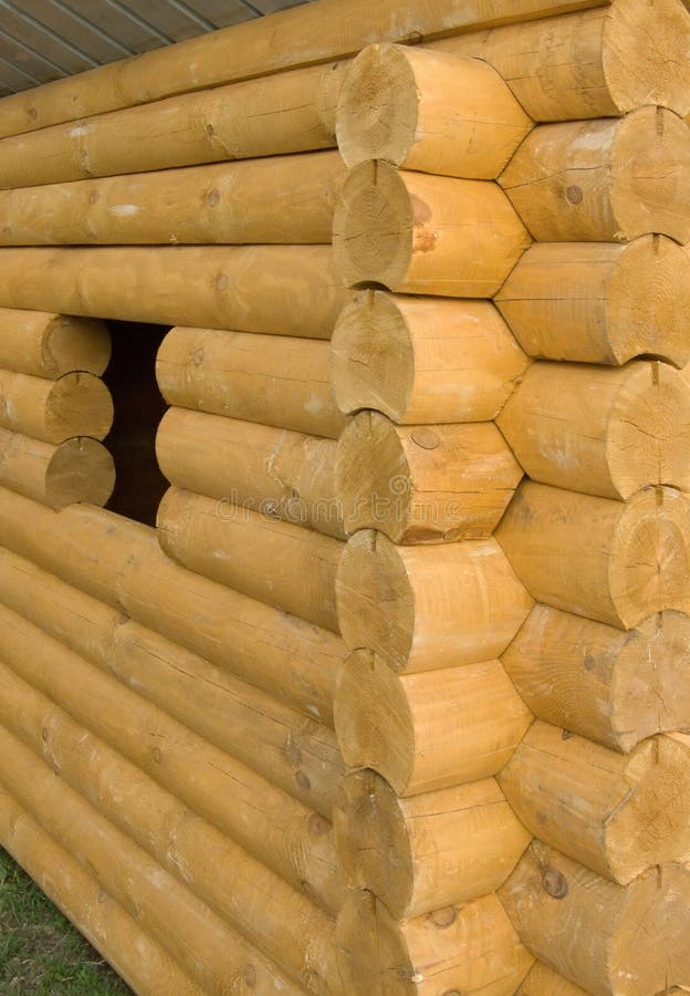 Wooden logs stock photo. Image of cankered, surface, tree - 5277778