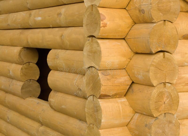 Wooden logs stock photo. Image of wooden, cankered, wall - 5277832