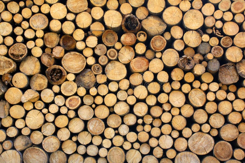 Stacked logs stock photo. Image of industrial, countryside - 2965530