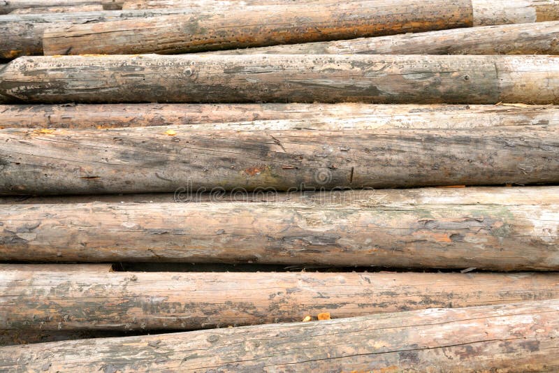 Wooden logs background. stock photo. Image of rural, structure - 75207164
