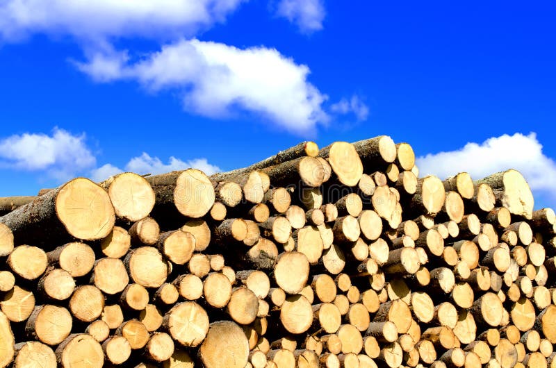 Wooden logs stock photo. Image of rural, blue, organic - 30318298