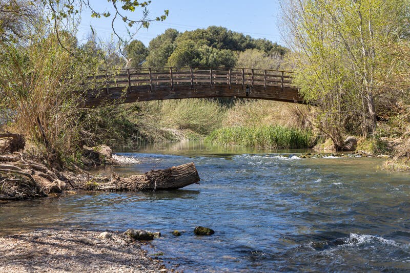 Wooden Logs Bridge Over the River in the Forest Stock Photo - Image of ...
