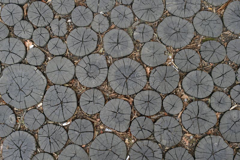 Wooden pavement stock image. Image of material, covering - 2085521