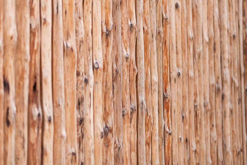 Unhewn wooden beam stock image. Image of beam, yellow - 269873761