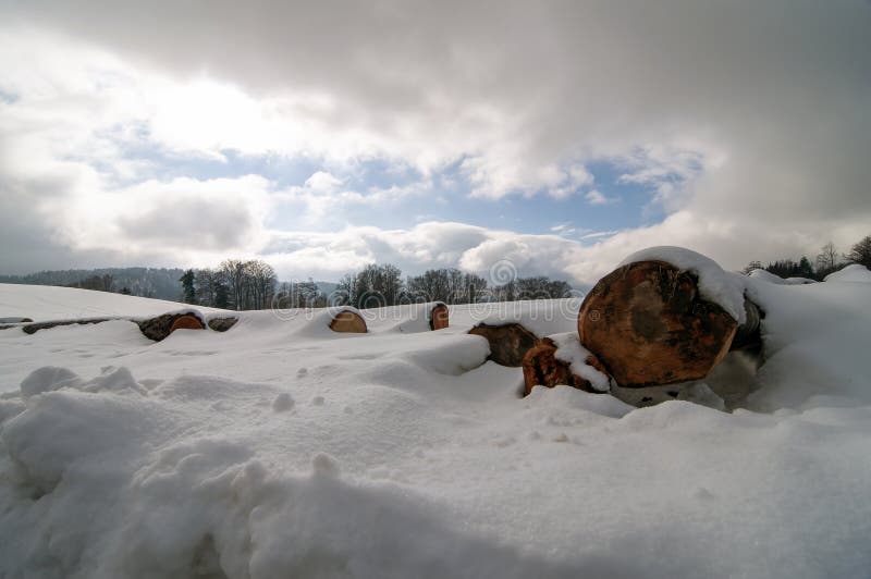 Wooden logs in snow stock photo. Image of white, natural - 229459930