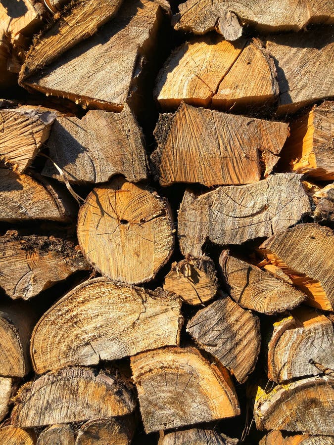 Wooden logs stock photo. Image of wooden, wood, stack - 176350552