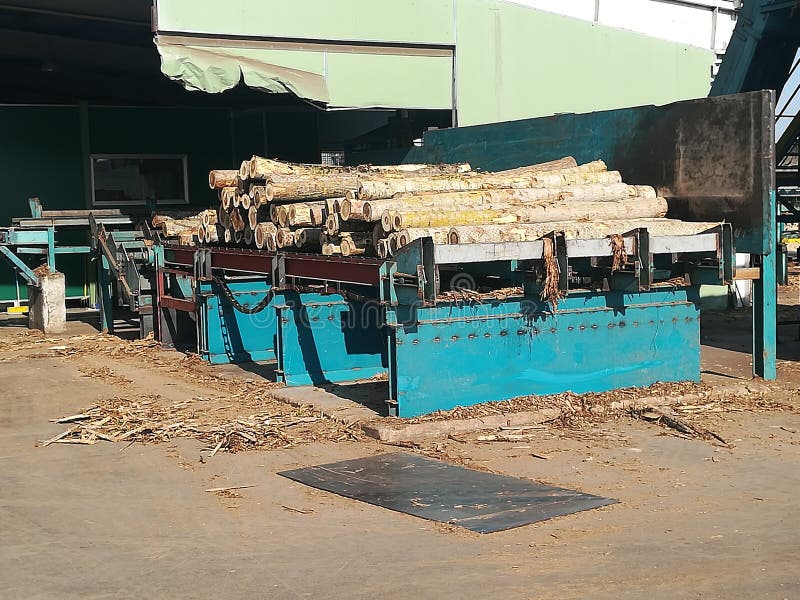 Wooden logs stock photo. Image of timber, logs, industry - 99306936