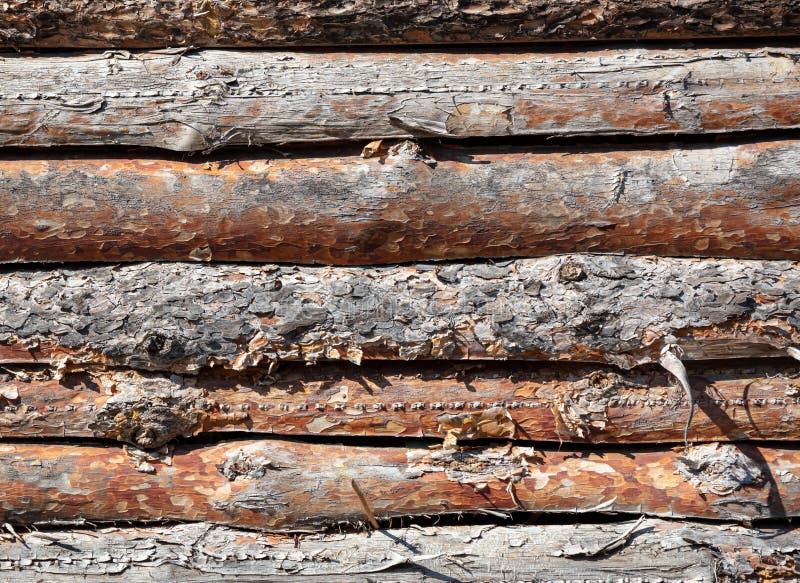 Wooden Logs on the Wall from the Log House. Stock Photo - Image of ...