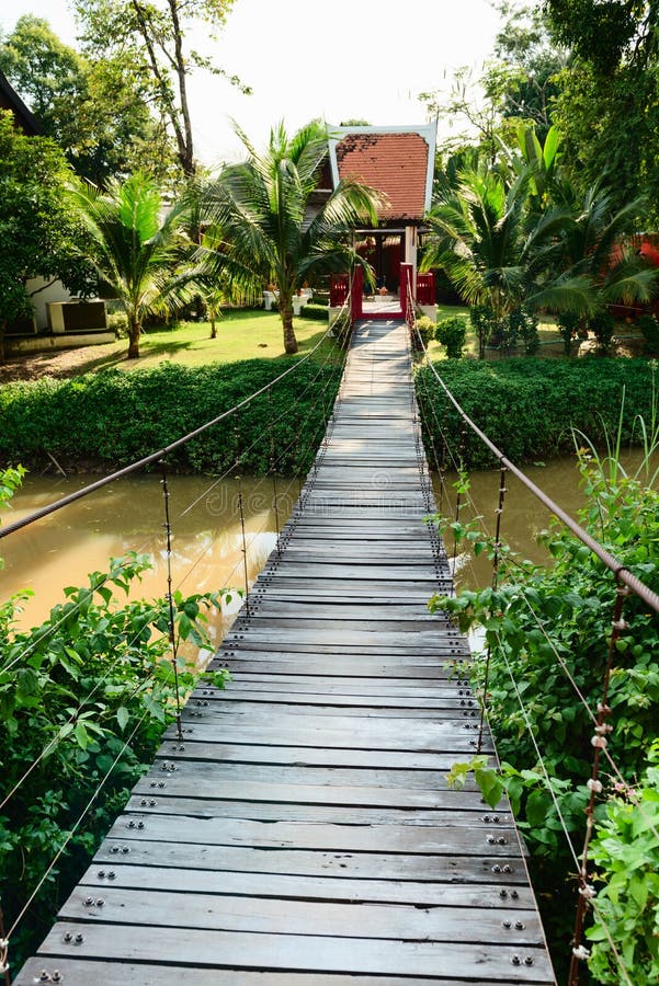 Wooden long rope bridge stock image. Image of nature - 47803473