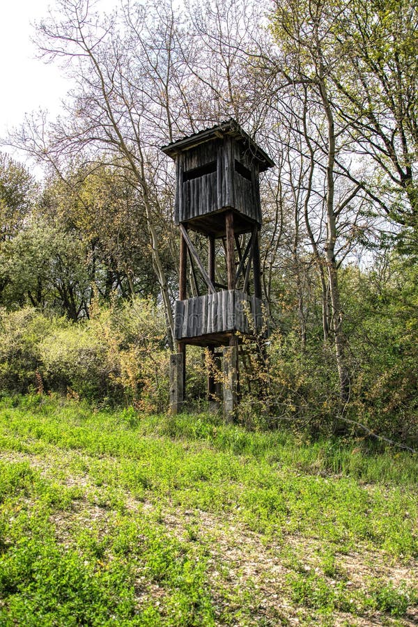 Wooden Lookout Tower for Hunting in the Woods Stock Image - Image of ...