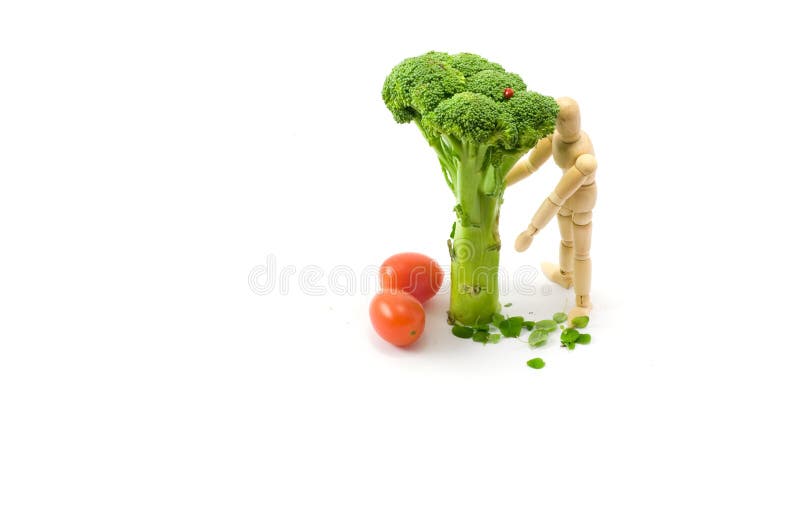 Wooden Man Under Broccoli Tree Stock Photos - Free & Royalty-Free Stock ...