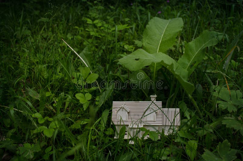 Wooden Model of House in the Garden. House on Tree. Small Wooden House ...
