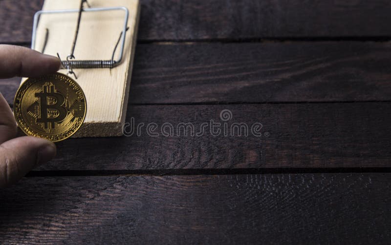 Wooden Mouse Trap and Man Holds Bitcoin. Stock Photo - Image of bitcoin ...