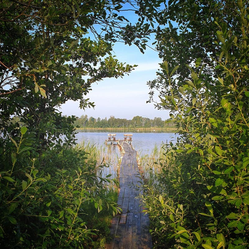 Wooden Narrow Deck in the Lake Surrounded with Trees Stock Photo ...