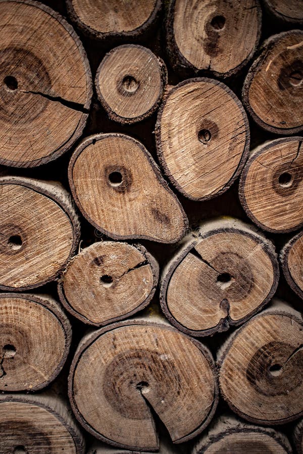 Natural Logs Arranged One on Top of the Other. Log Texture. Ordered ...