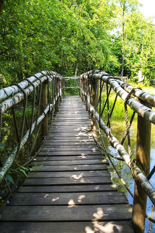 Wooden bridge in nature stock image. Image of colorful - 12495381