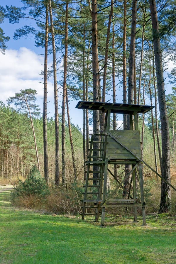 A Wooden Observation or Hunting Tower in the Forest Stock Photo - Image ...