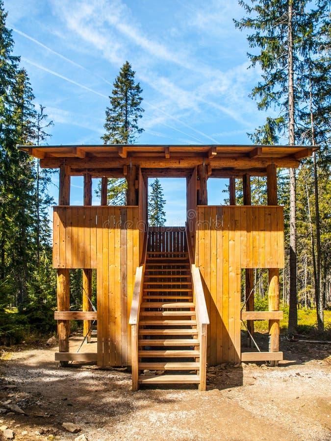 Wooden Observation Post in the Forest Stock Image - Image of bird, wood ...