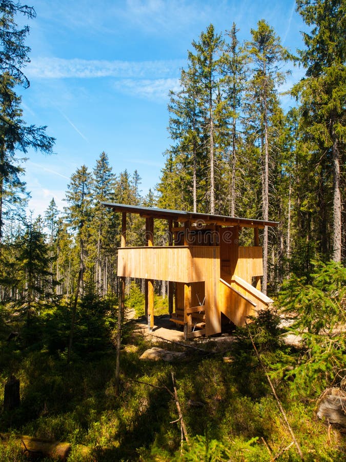 Wooden Observation Post in the Forest Stock Photo - Image of deer ...
