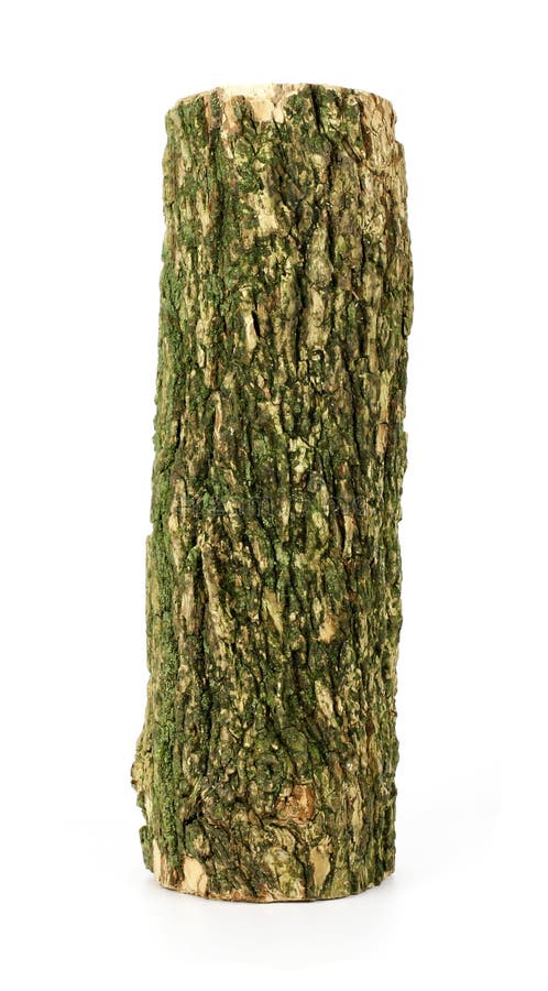 Wooden Obsolete Log. Top View Stock Photo - Image of timber, single ...