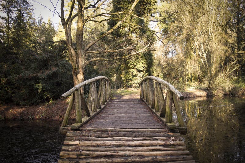 Wooden Old Bridge Over the Lake Stock Image - Image of park, path: 67754677