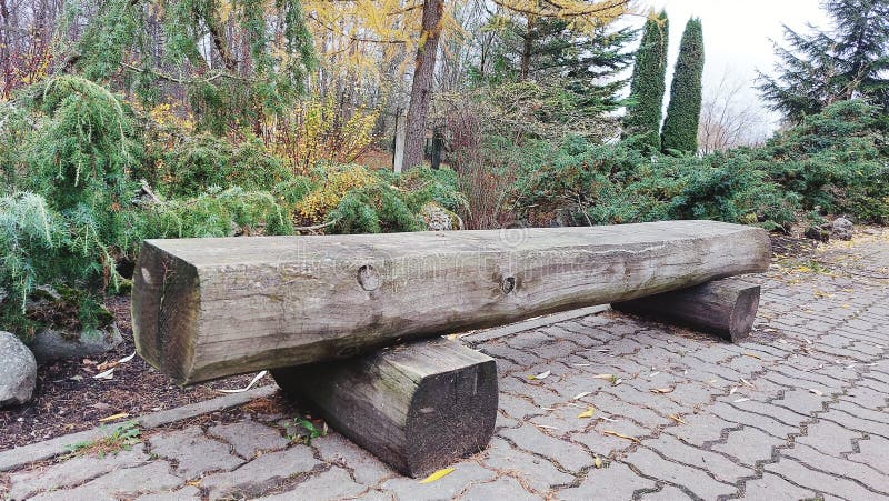 Wooden Old Medieval Style Bench in the Park Stock Image - Image of ...