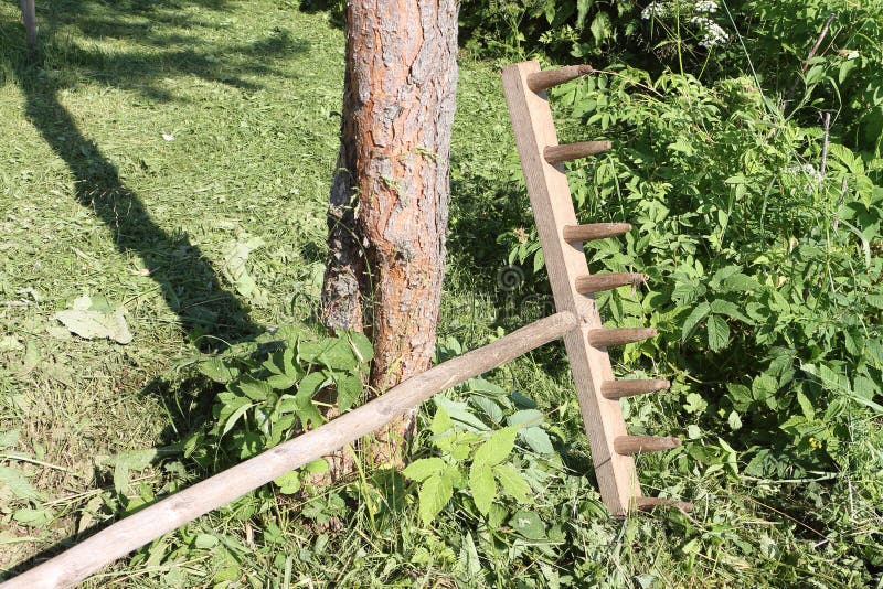 Wooden Old Rake at a Tree in a Garden Stock Photo - Image of ...