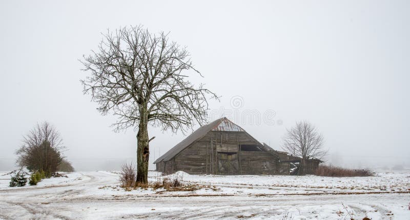 Old Red Barn in Winter stock photo. Image of farm, cold - 12346776