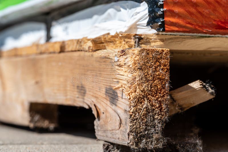 Wooden Pallet with Chipped Board and Exposed Nail. Stock Photo - Image ... Wooden Pallet with Chipped Board and Exposed Nail. Stock Photo - Image ...
