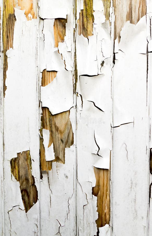 Wooden Panel with Peeling Paint Stock Image - Image of flakes, grained ...
