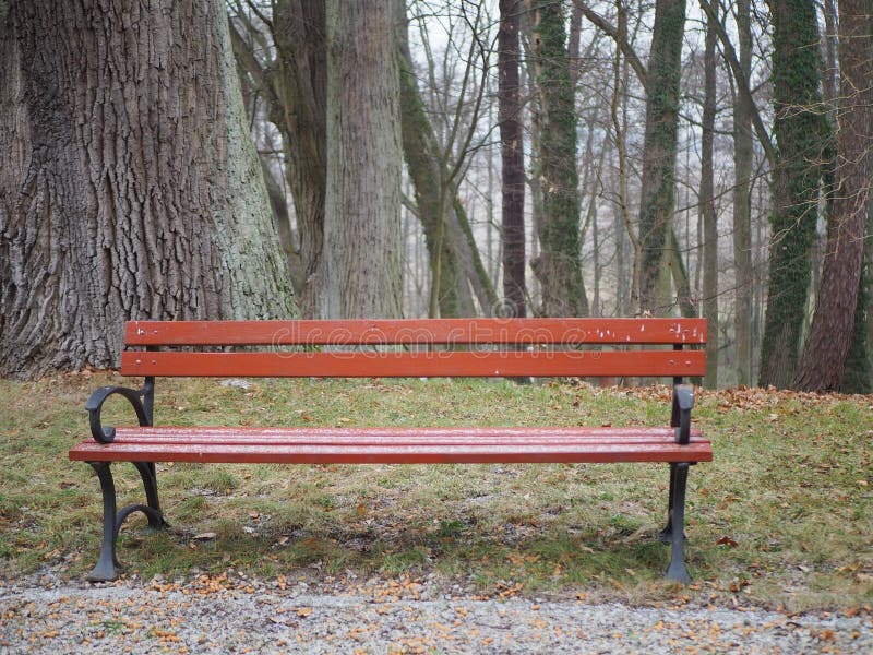 Wooden Park Bench in Autumn, Alone, Empty Stock Image - Image of ...