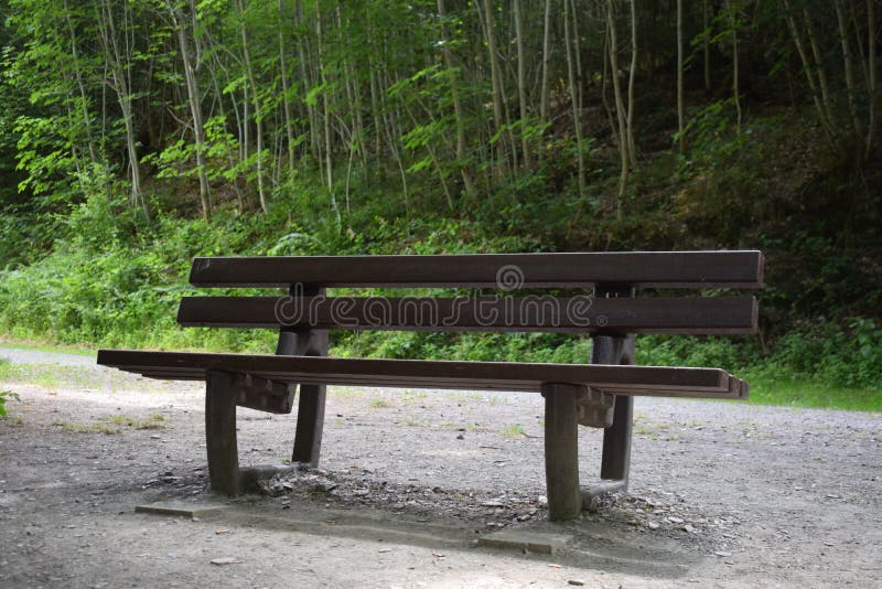 Wooden Park Bench in the Forest Stock Photo - Image of furniture, plant ...