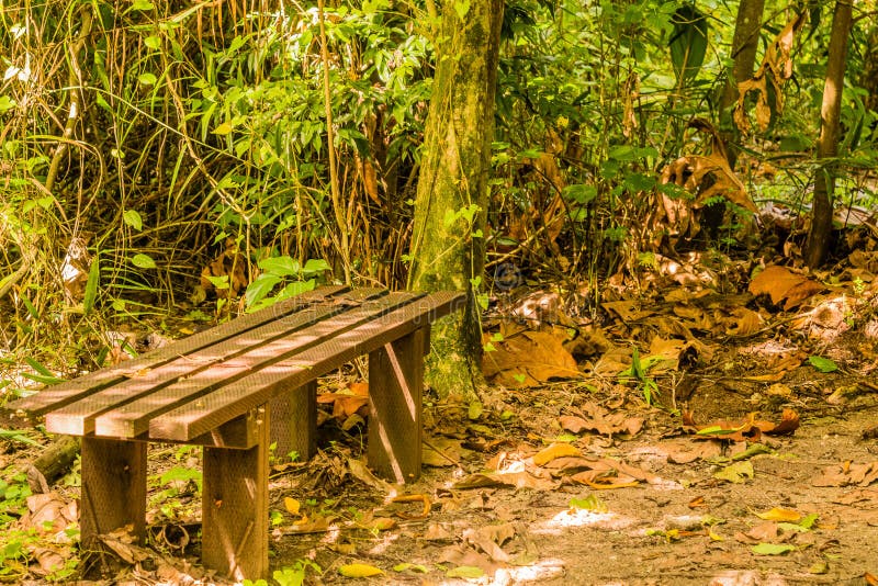 Wooden Park Bench Next To a Path Stock Image - Image of seat, natural ...