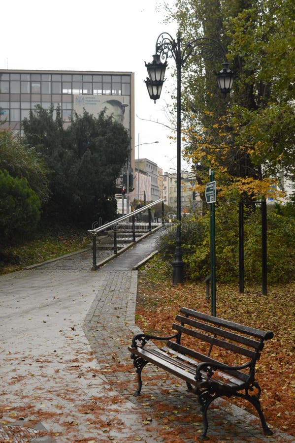 Wooden Park Bench Blanketed in an Array of Colorful Autumn Leaves in a ...