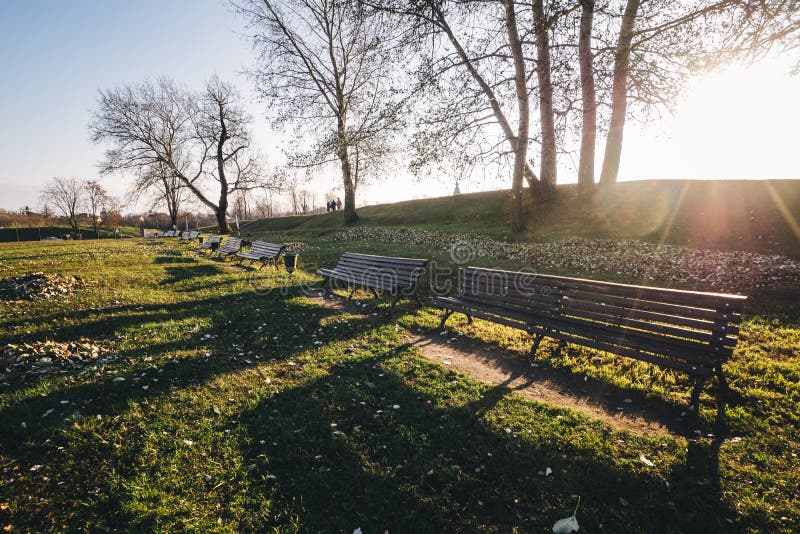 Wooden Park Bench in a Sunny Day Stock Photo - Image of outdoors ...