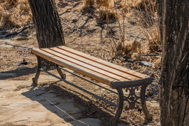 Wooden Park Bench between Two Trees Stock Image - Image of asia, avenue ...