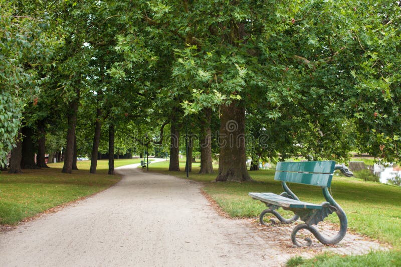 Wooden Park Bench Under Oak Trees Stock Image - Image of backyard ...