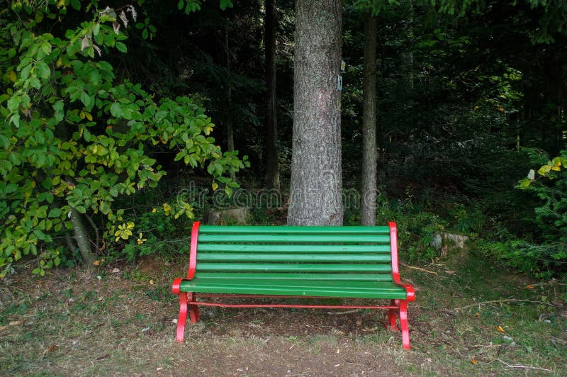 Wooden Park Bench Under Trees in the Forest Stock Image - Image of ...
