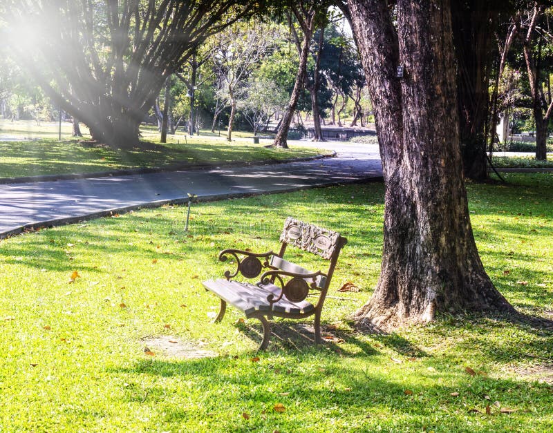 Wooden Park Bench Under Trees, Park in Bangkok. Stock Photo - Image of ...
