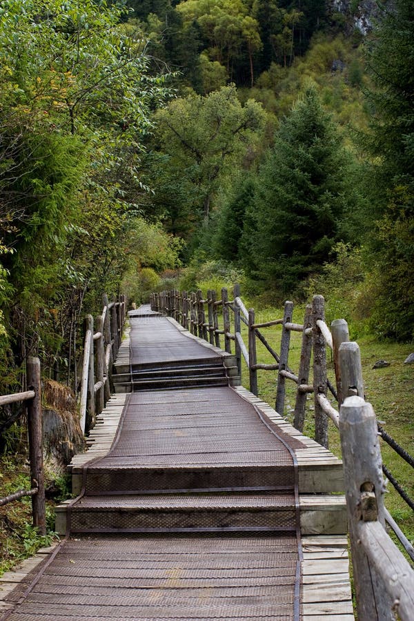 Wooden path stock image. Image of sight, path, sichuan - 11272543