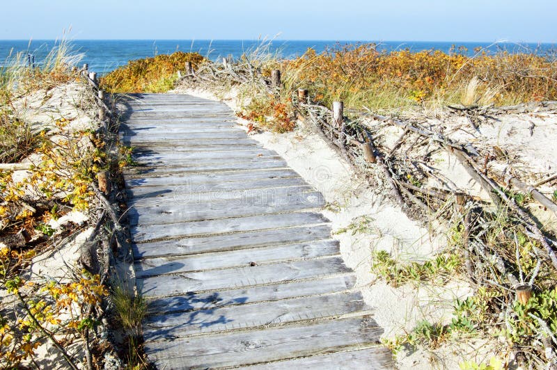 Wooden Path Leading To the Beach Stock Image - Image of shore, holiday ...