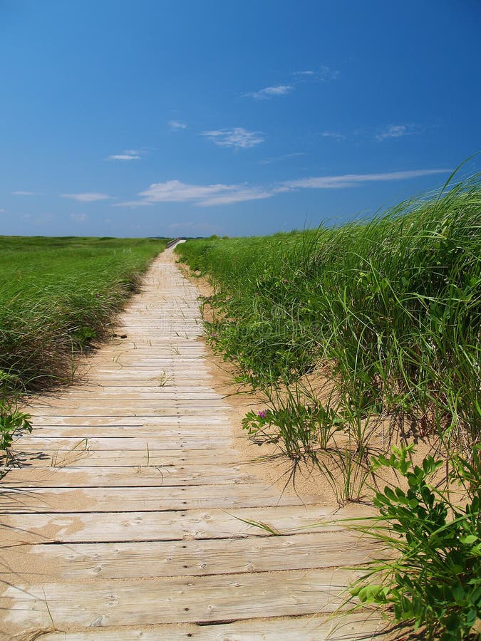 Wooden Path stock photo. Image of blue, trail, breton - 1783000