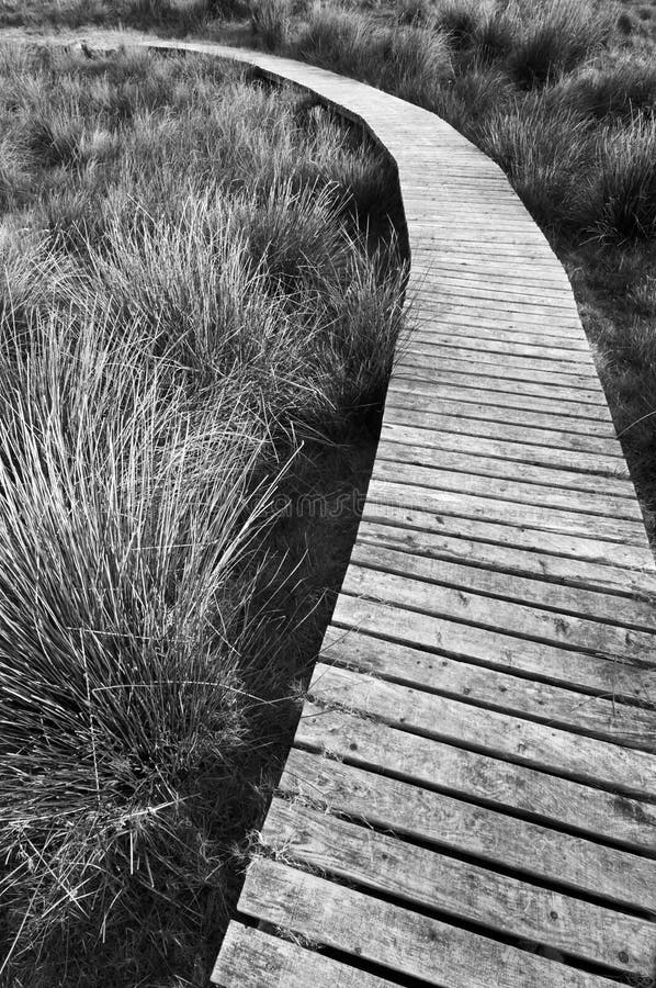 Wooden path stock image. Image of lane, outdoors, grass - 2593149