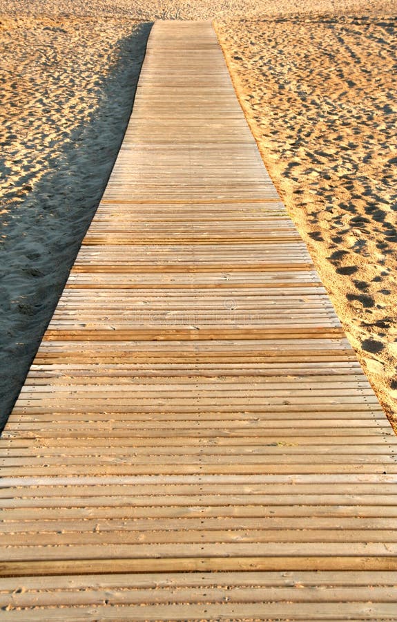 Wooden Path Along the Shore of the Lake, Plank Deck, Modern Landscape ...