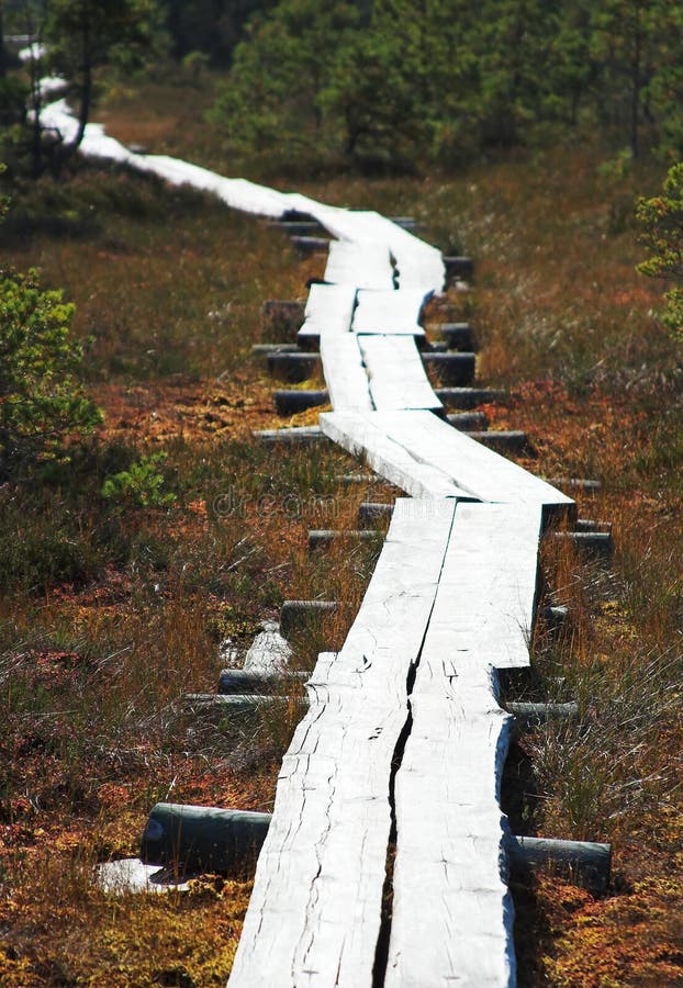 Wooden path stock photo. Image of flooring, cracked, plank - 3273958